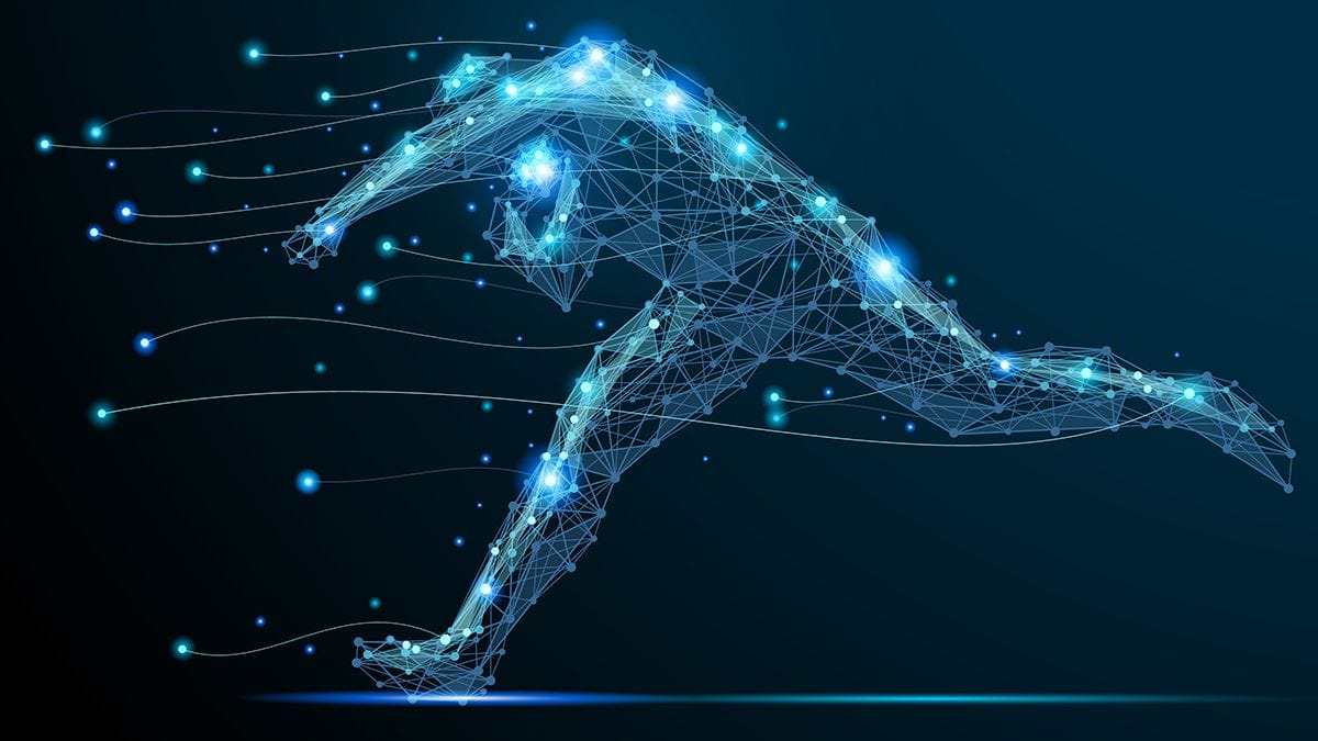 Movement Analysis and Biomechanics For Athletes